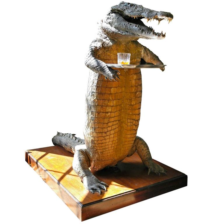 20th Century Taxidermy Crocodile Waiter at 1stDibs | alligator mounts ...