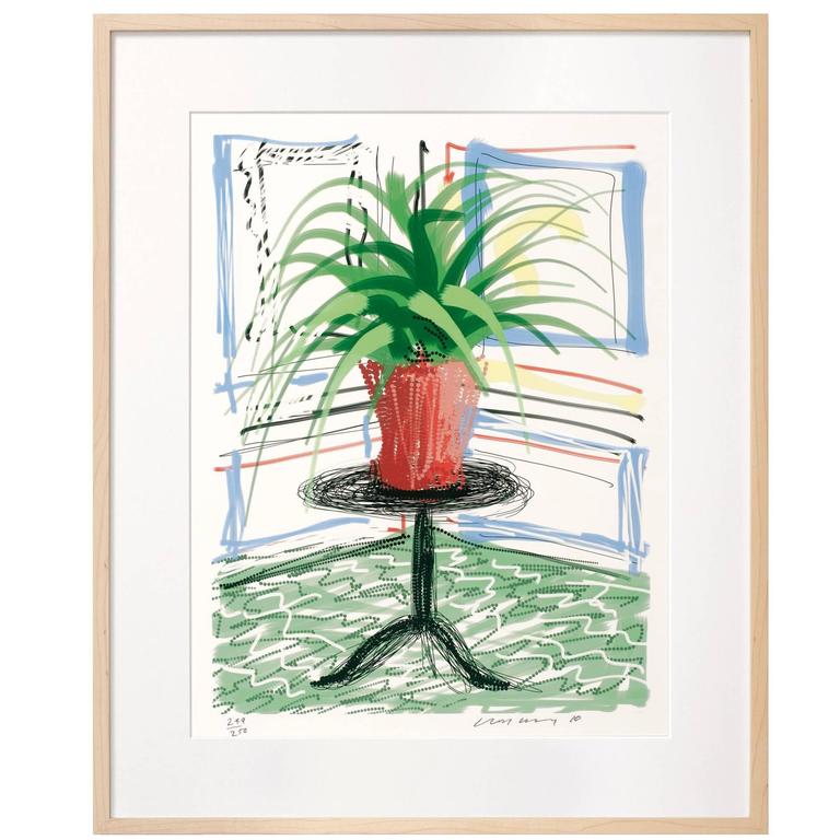 David Hockney, a Bigger Book, Art Edition C, No. 501–750 at 1stDibs