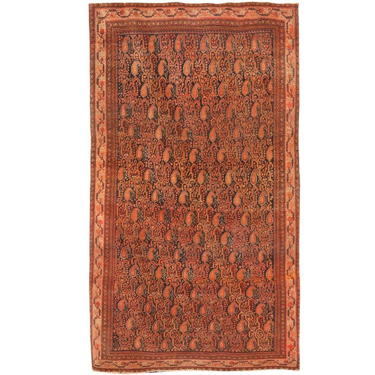 Antique 19th Century Persian Zili Sultan Rug For Sale at 1stDibs