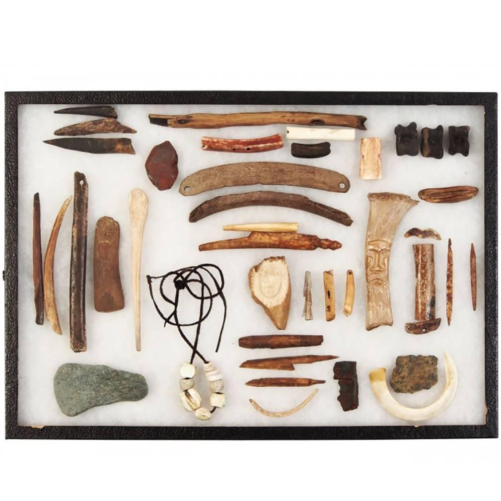 Museum Style Artifact Cased Collection at 1stDibs