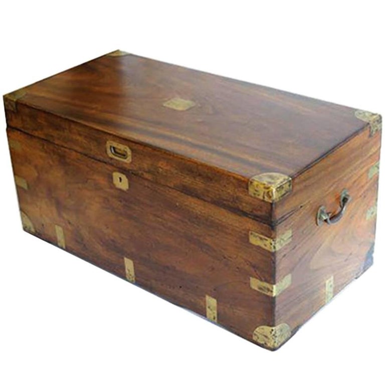Early Victorian Camphor Wood Trunk, circa 1850s For Sale at 1stDibs