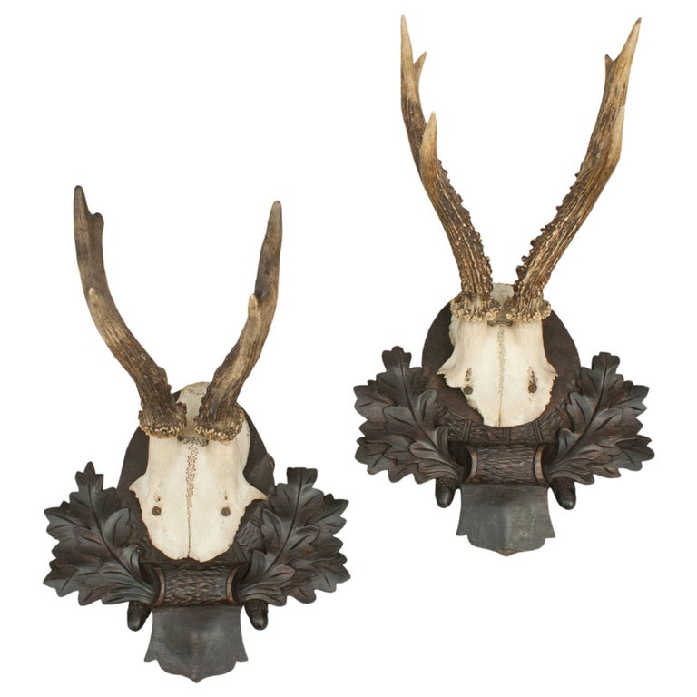 Roebuck Antlers on Black Forrest Carved Shields at 1stDibs