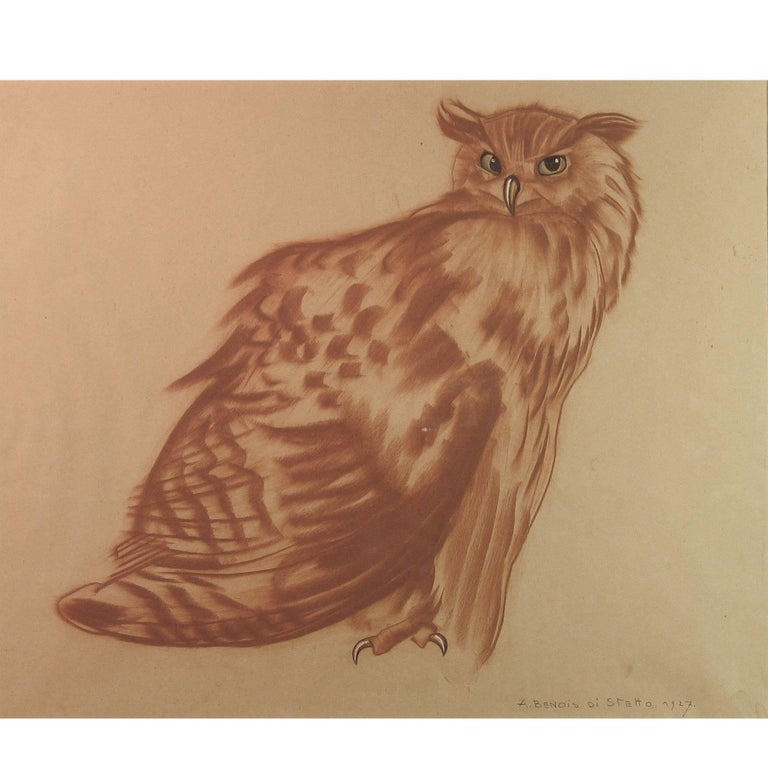 Alexander Benois Di Stetto, Red Chalk, Pencil, Study of an Owl at 1stDibs