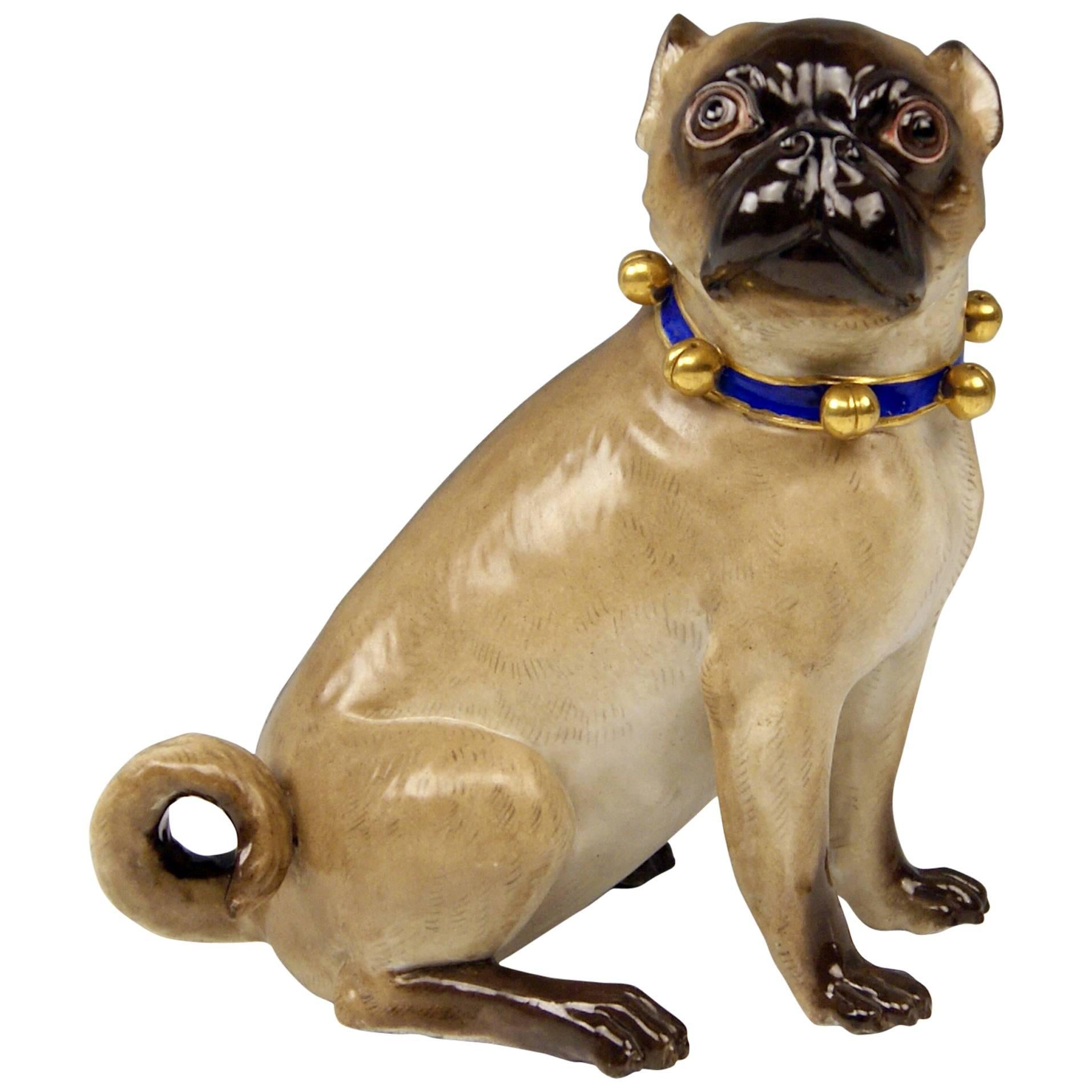 Meissen Lovely Pug with Rattles by Kaendler, circa 1850 at 1stDibs ...