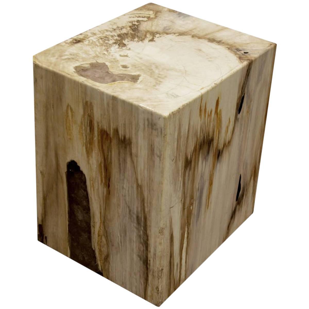 Andrianna Shamaris Petrified Wood with Clear Cracked Resin at 1stDibs ...