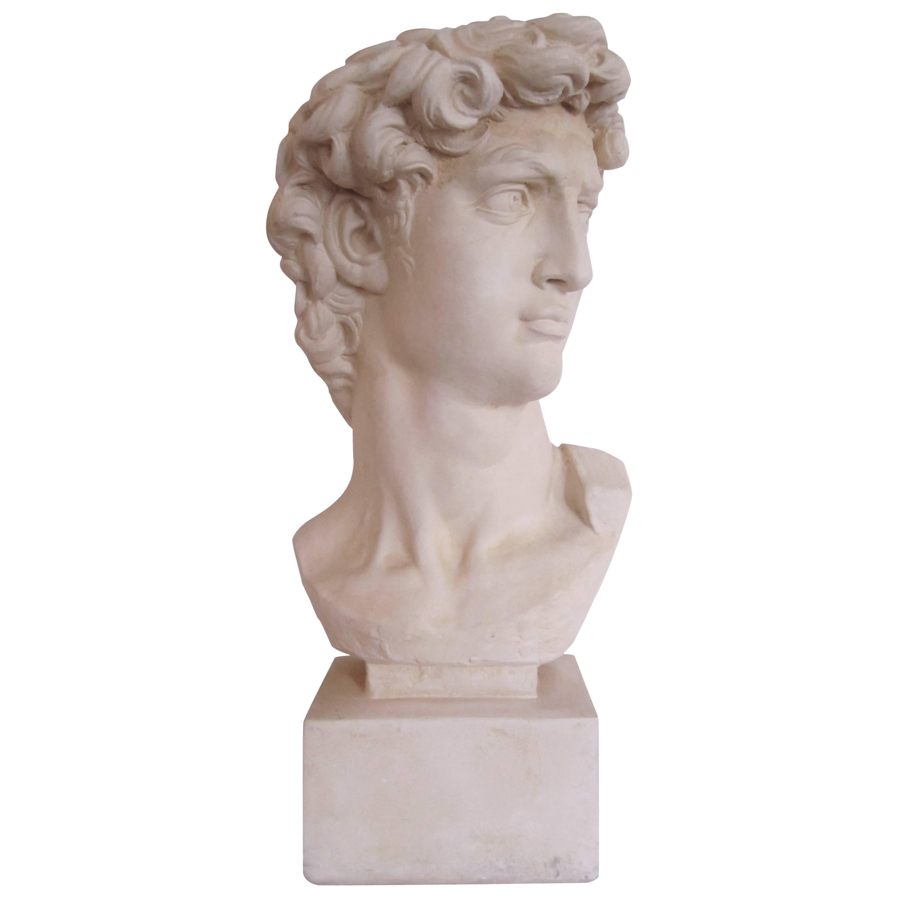 Vintage Classic Roman Style Bust of the David at 1stDibs