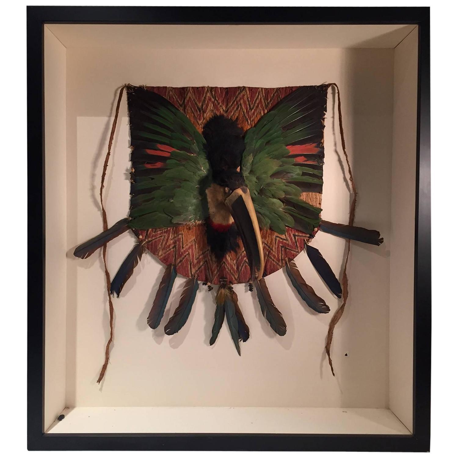 Toucan Bird Head and Feather Breastplate, Jivaroan People, Ecuador S ...