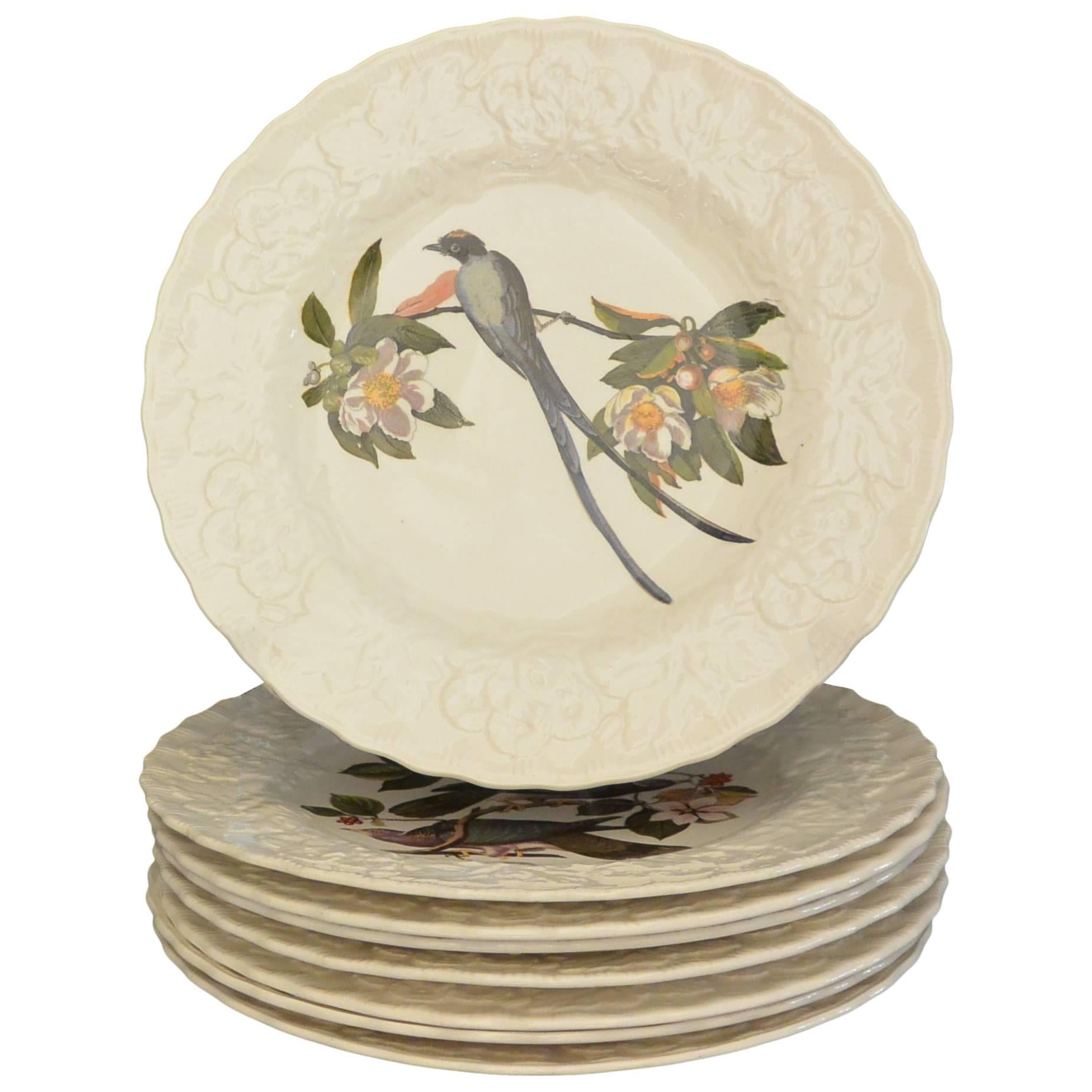 Set of Eight Audubon Bird Plates at 1stDibs