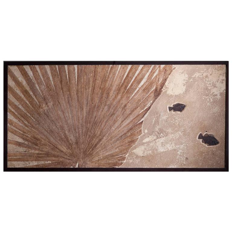 Fossil Fish and Palm wall plate For Sale at 1stDibs