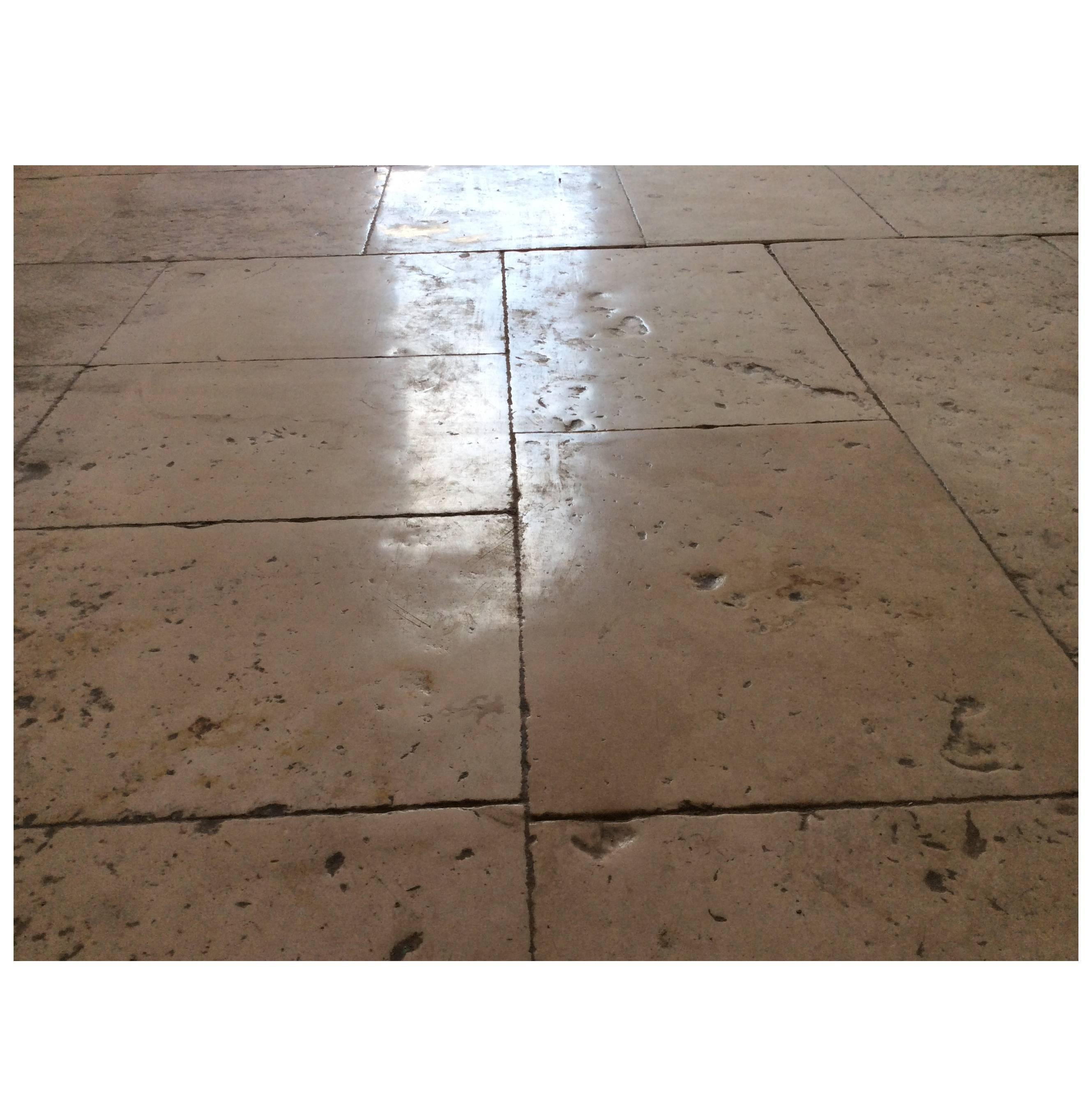 Provencal Flooring, Antique French Stone and Belgium Marble Tiles, 18th ...