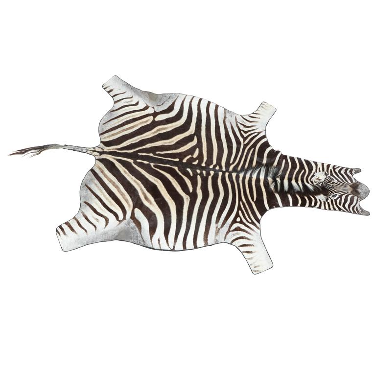 Zebra, Rug, Vintage at 1stdibs