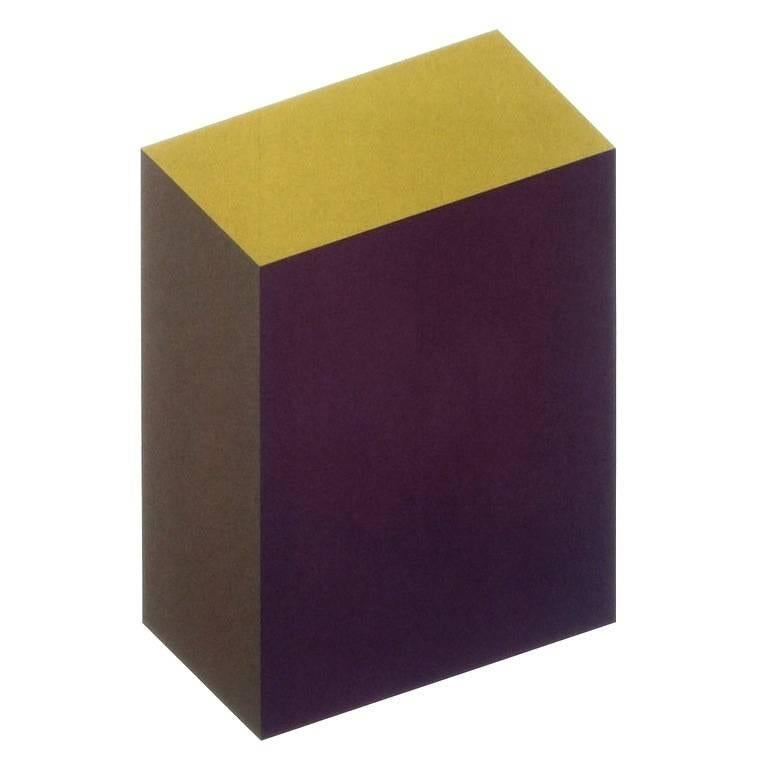 Sol LeWitt "Forms Derived from a Cube (Colors Superimposed) "Plate #7 ...