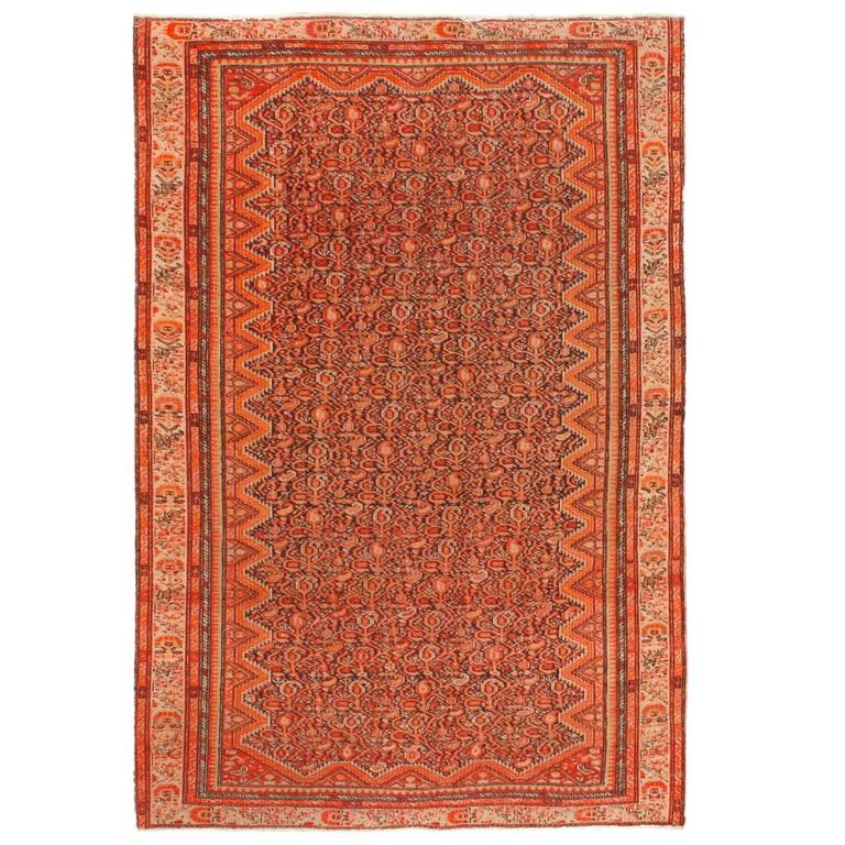 Antique 19th Century Persian Zili Sultan Rug For Sale at 1stDibs