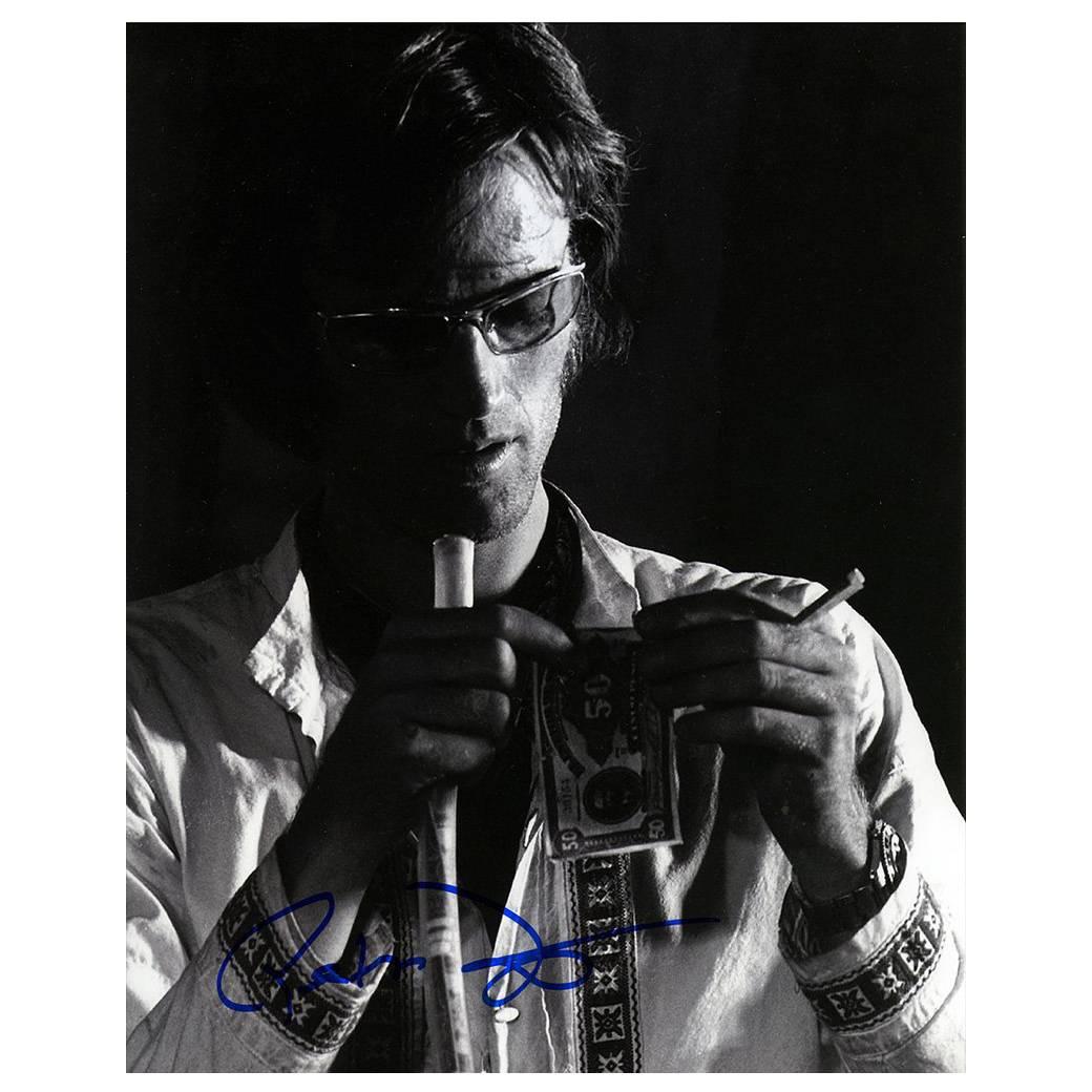 Deyrolle Zebra Composition #1 For Sale at 1stDibs