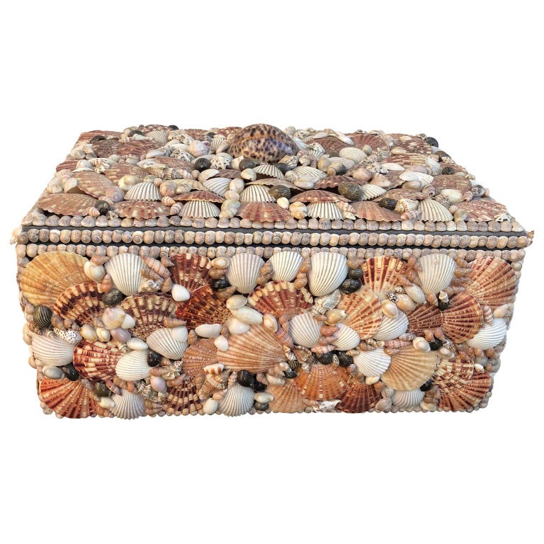 Vintage Jewelry Box Covered Pacific Seashell at 1stDibs