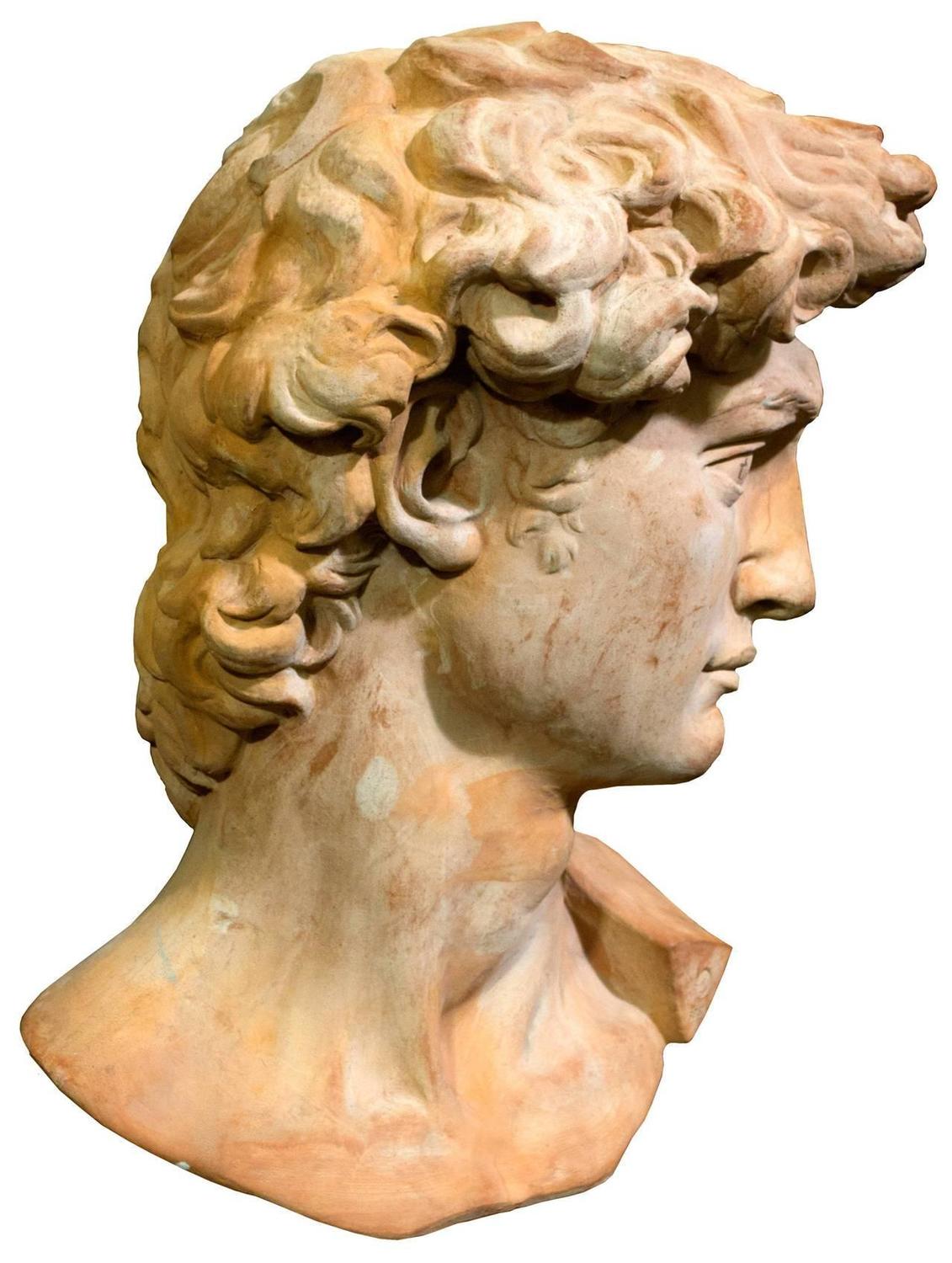 Monumental Terra Cotta Bust of David After Michaelangelo For Sale at ...