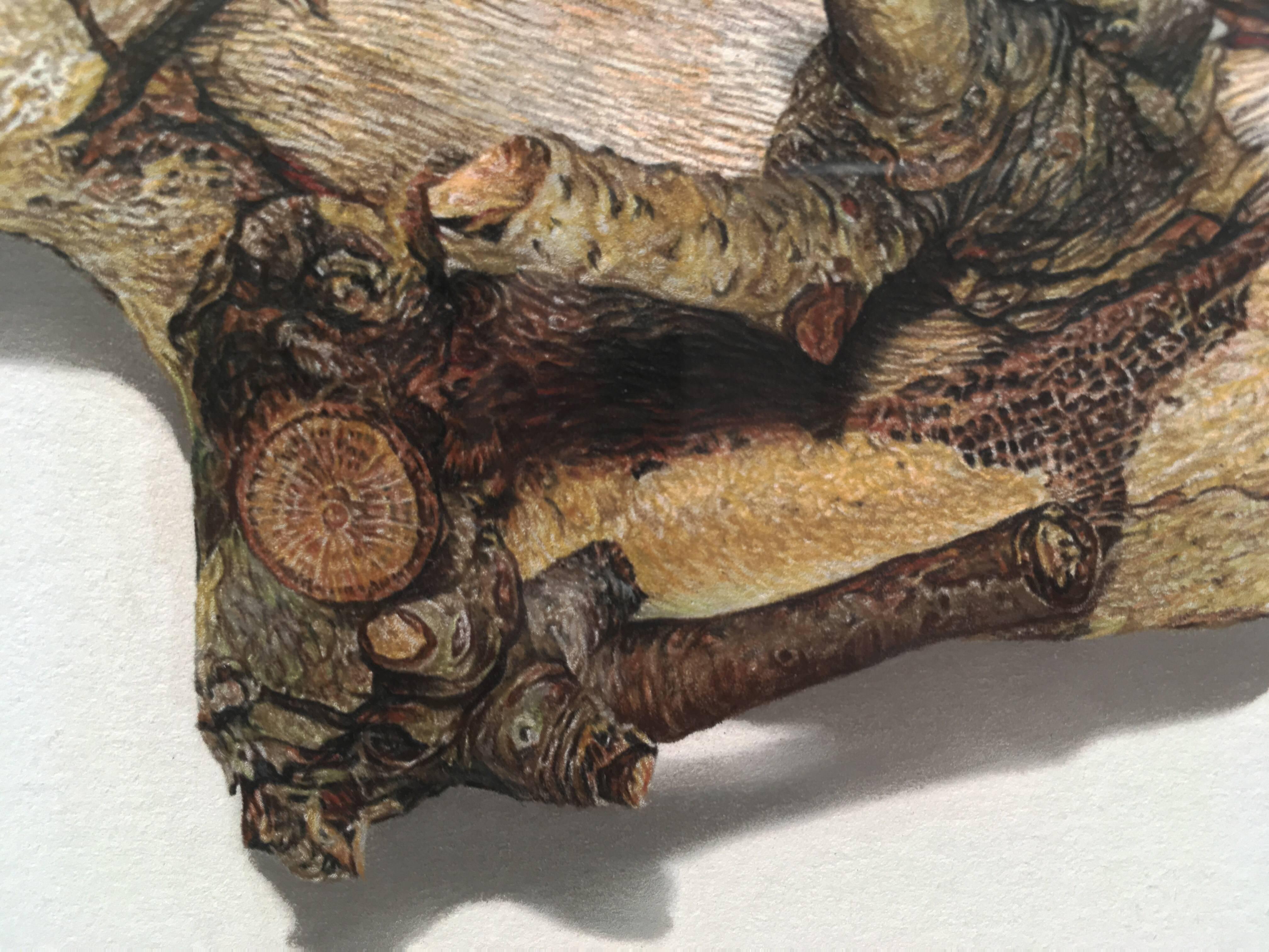 David Morrison - David Morrison, Stick Series No. 20, Photorealist ...