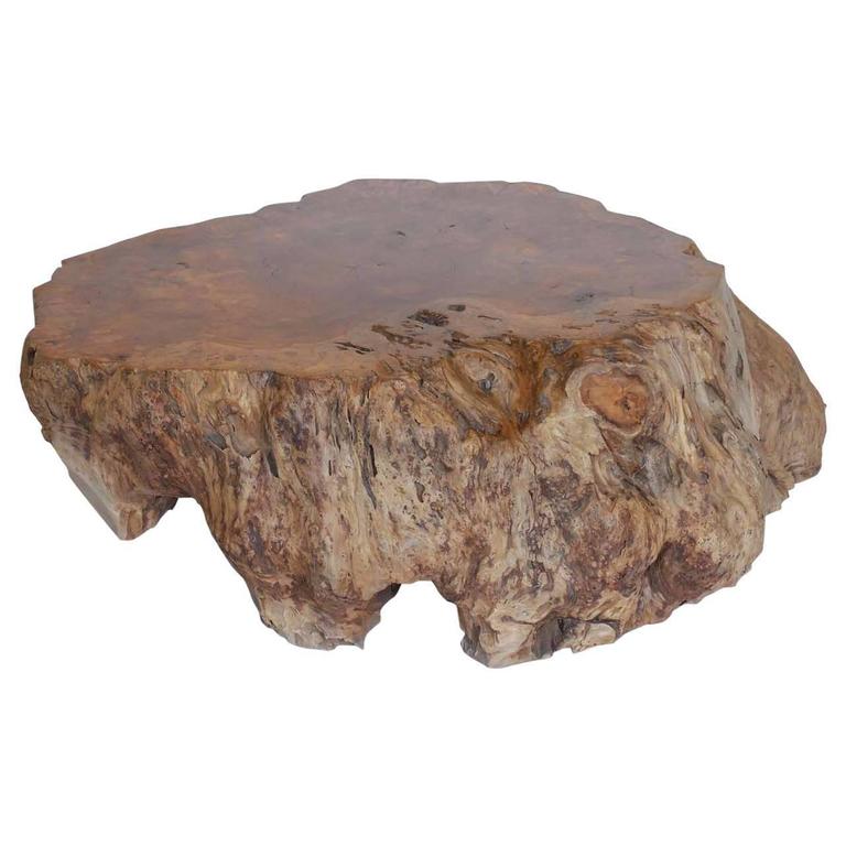 Large-Scale Teak Root Table at 1stDibs