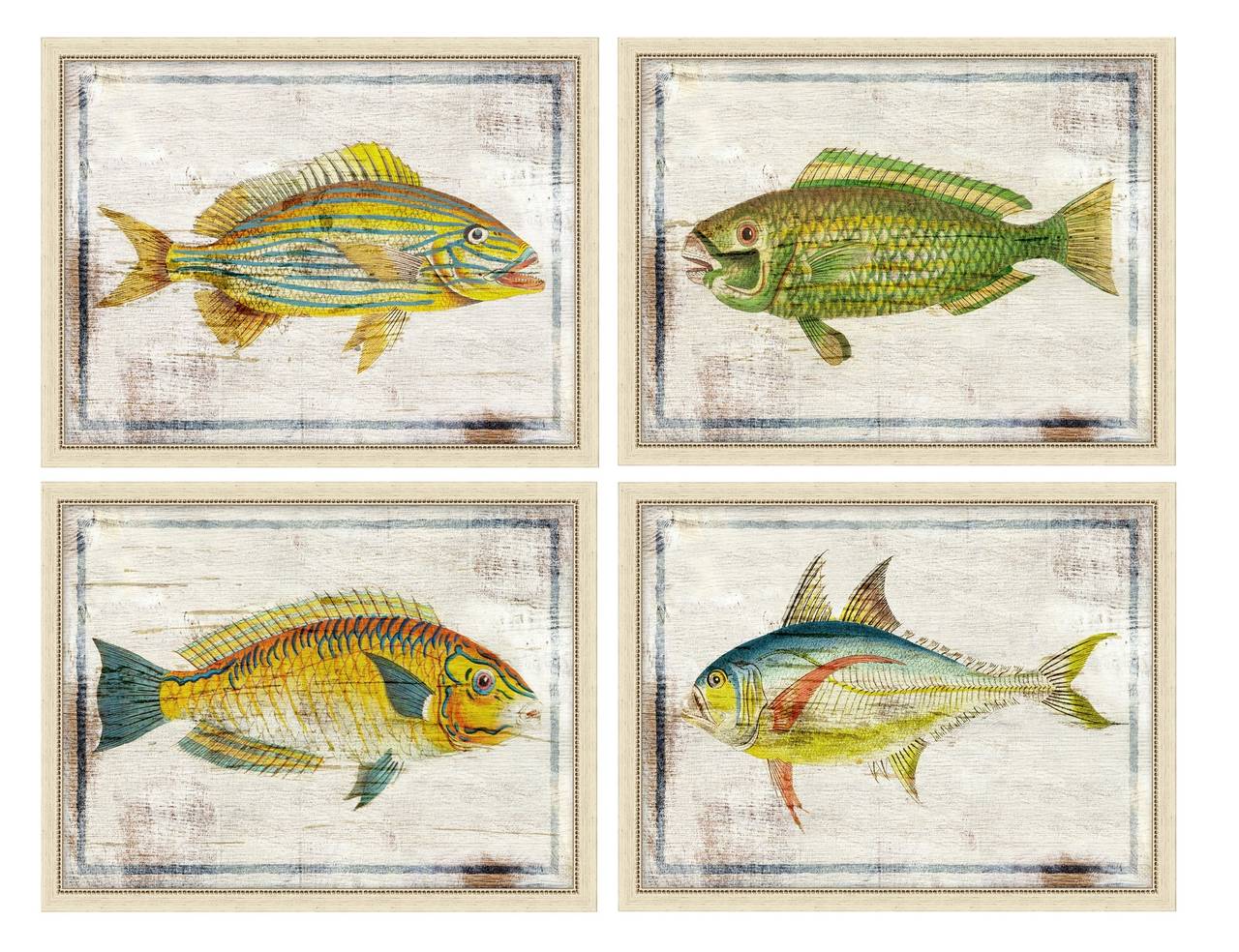 Rustic Fish Prints For Sale at 1stDibs