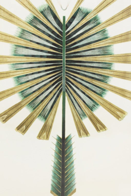 "Apotheosis of a Pine Tree" by Philip Aziz at 1stDibs