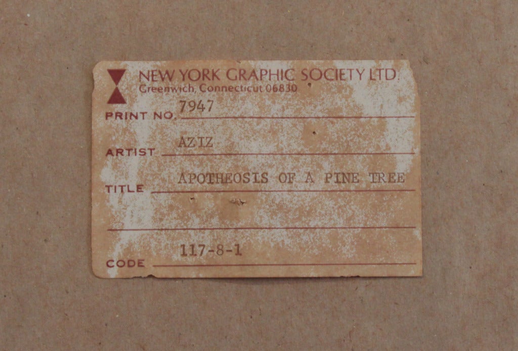 "Apotheosis of a Pine Tree" by Philip Aziz at 1stDibs