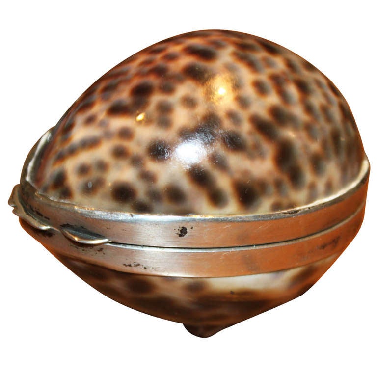 A rare and fine Gucci silver mounted cowrie shell box For Sale at ...