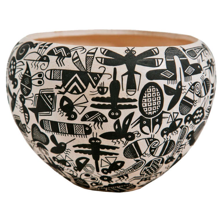 Acoma "Insect" Pot at 1stDibs