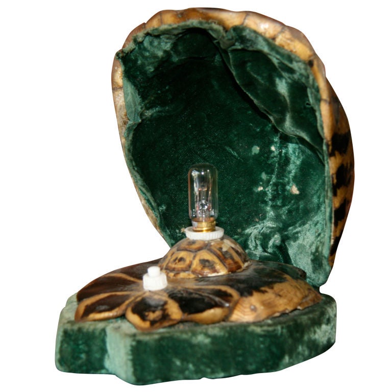 Tortoise Shell Light at 1stDibs