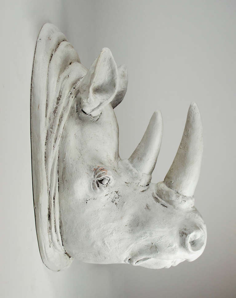 Plaster Rhinoceros Head at 1stDibs