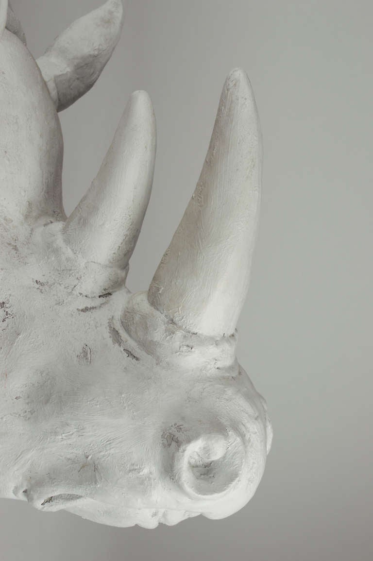 Plaster Rhinoceros Head at 1stDibs