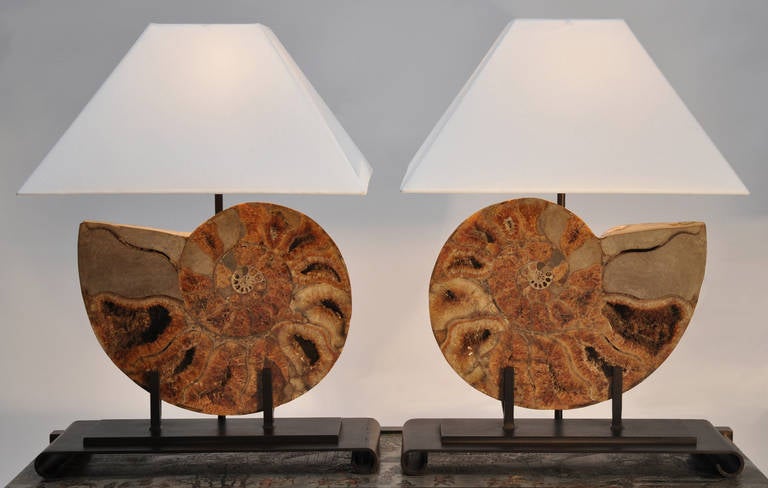 Large Modern Table Lamps with Fossils at 1stDibs | fossil lamps