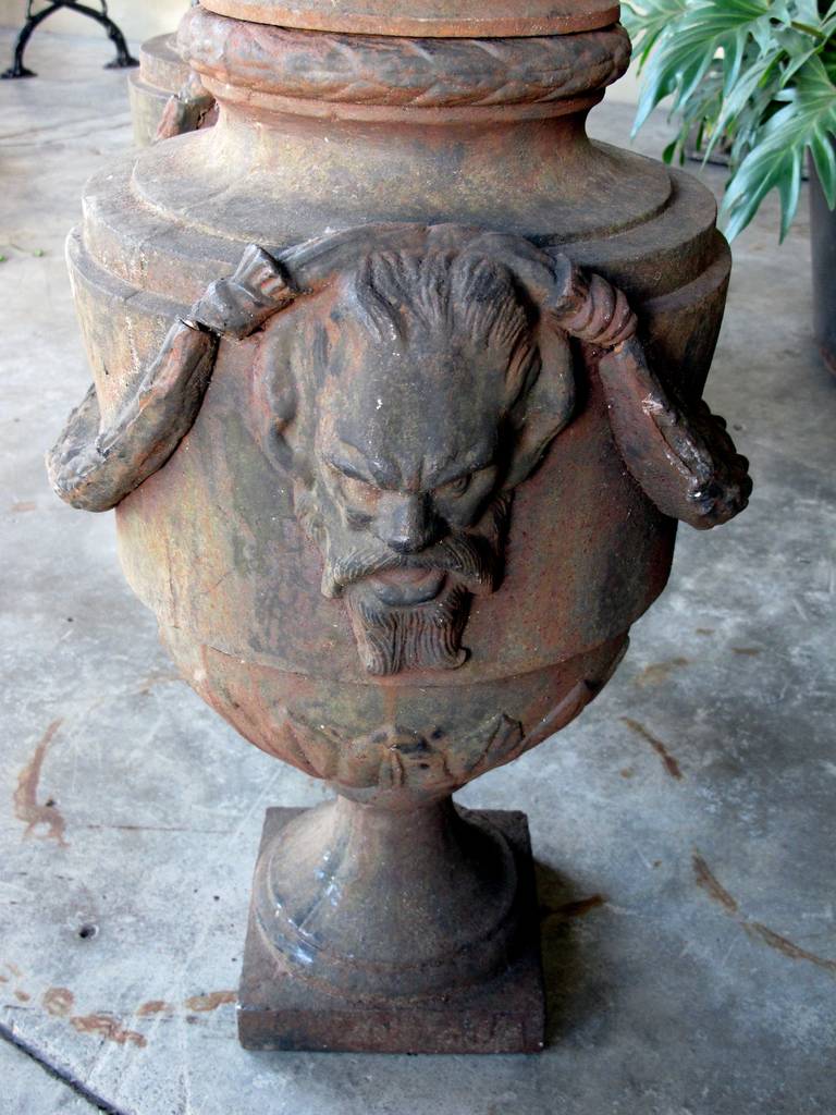 Large-Scaled Pair of English Neoclassical Style Covered Iron Bulb Urns ...