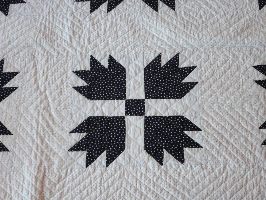 19thc Bear Paw Pattern Quilt From Pennsylvania at 1stDibs