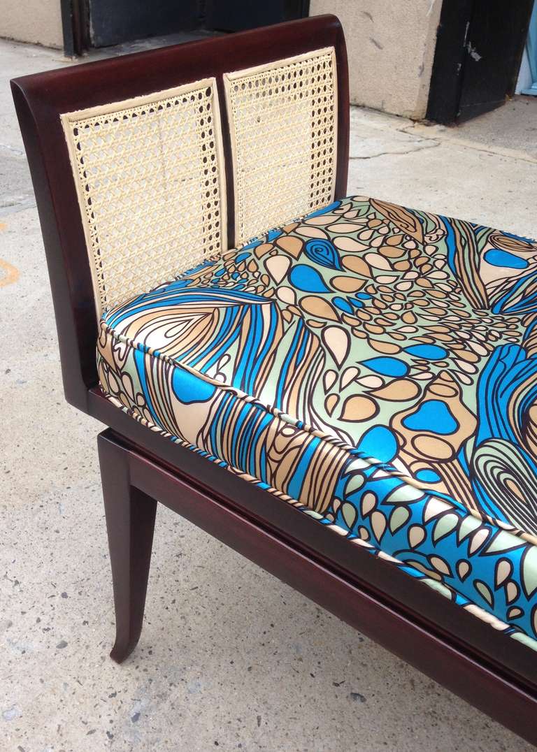 Mahogany and Cane Bench with Pucci-Style Silk Cushion For Sale at 1stDibs