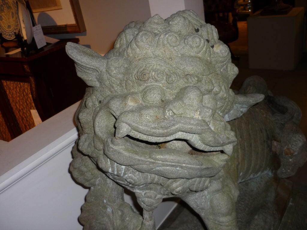 Pair of Large-Scale Chinese Fu Lions For Sale at 1stDibs