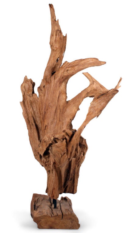 Wild Asian Teak Tree Root Standing Sculpture For Sale at 1stDibs | teak ...
