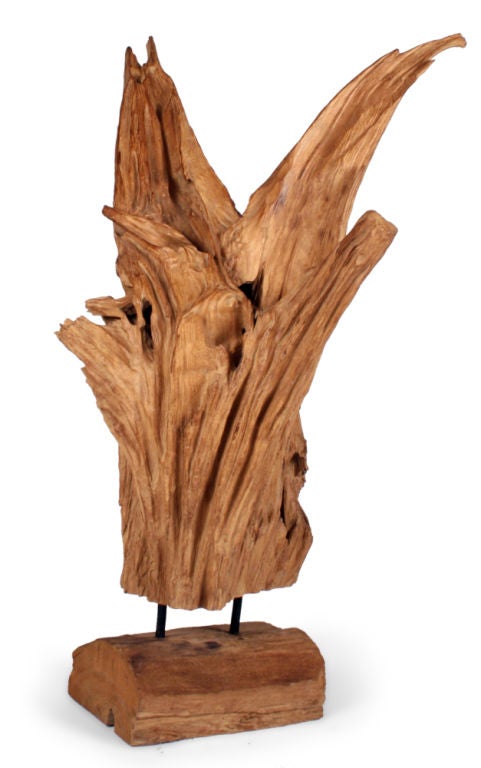 Natural Wood Tree Knot Root Art Sculpture Crafting