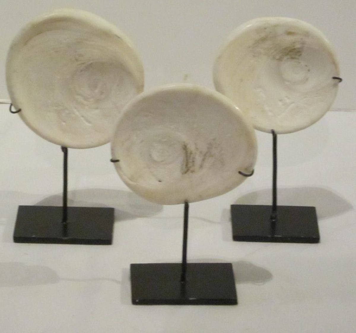 Contemporary Set of Mini Shells on Stands at 1stDibs