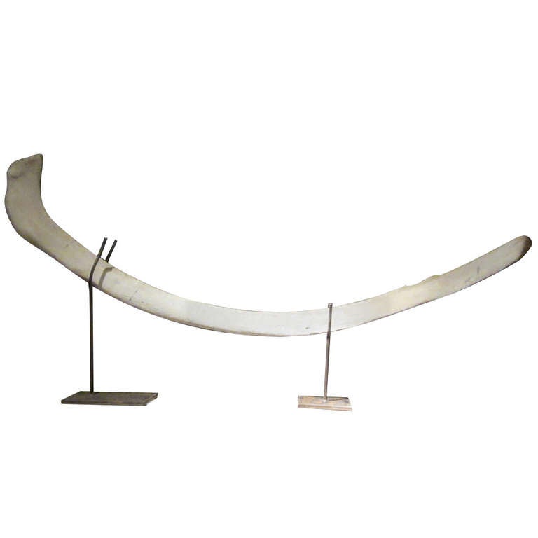 Whale Rib Sculpture at 1stDibs | whale rib for sale, whale rib bone for ...