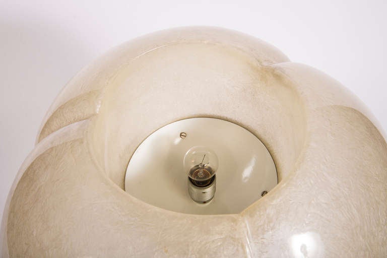 Resin Shade Brass Lamps at 1stDibs