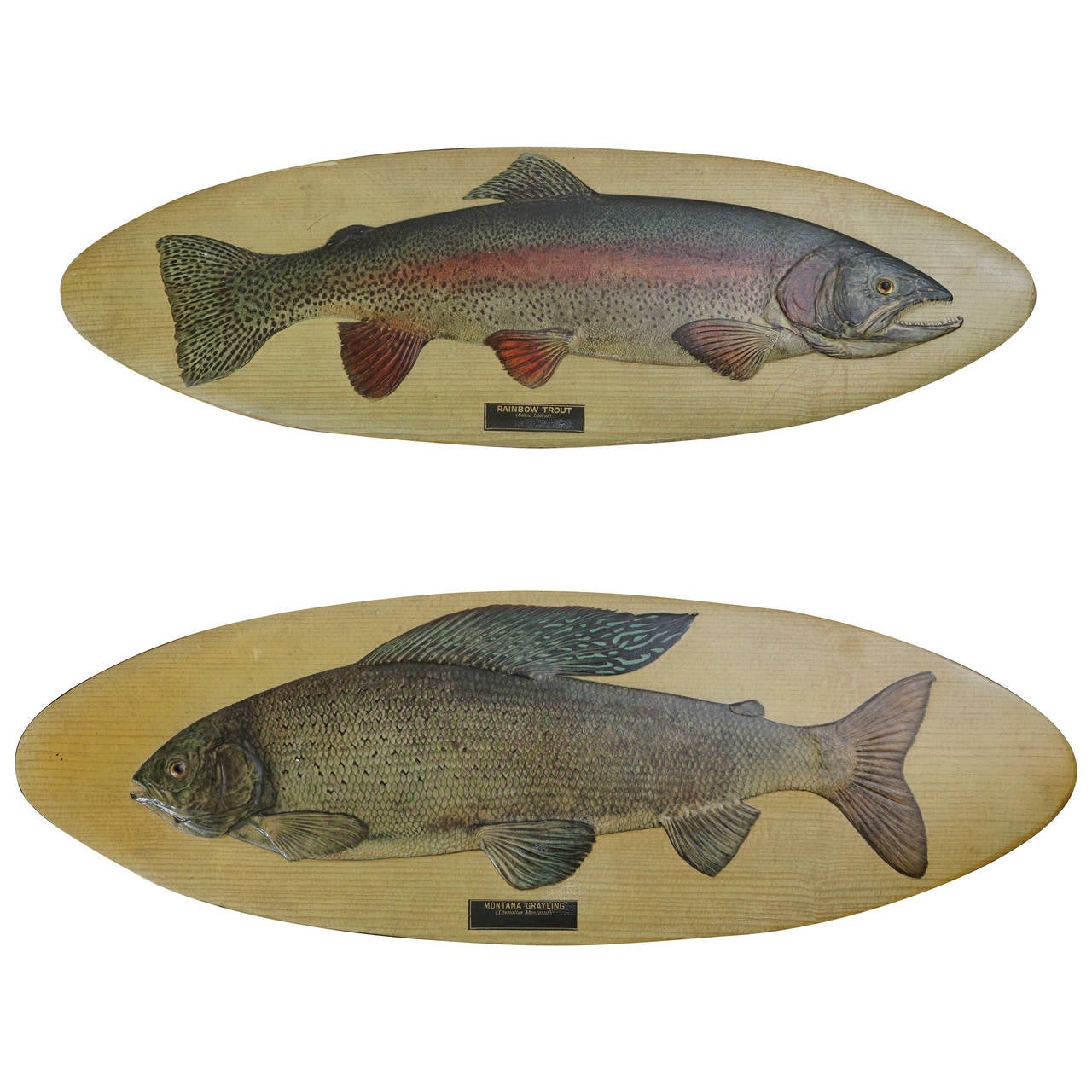 Pair Weber Fish Plaques at 1stDibs