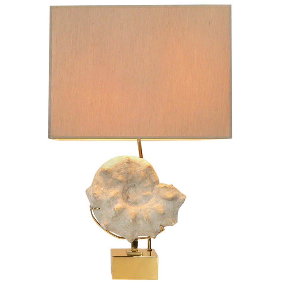 A Brass Belgian Lamp with Mounted Ammonite Specimen at 1stDibs