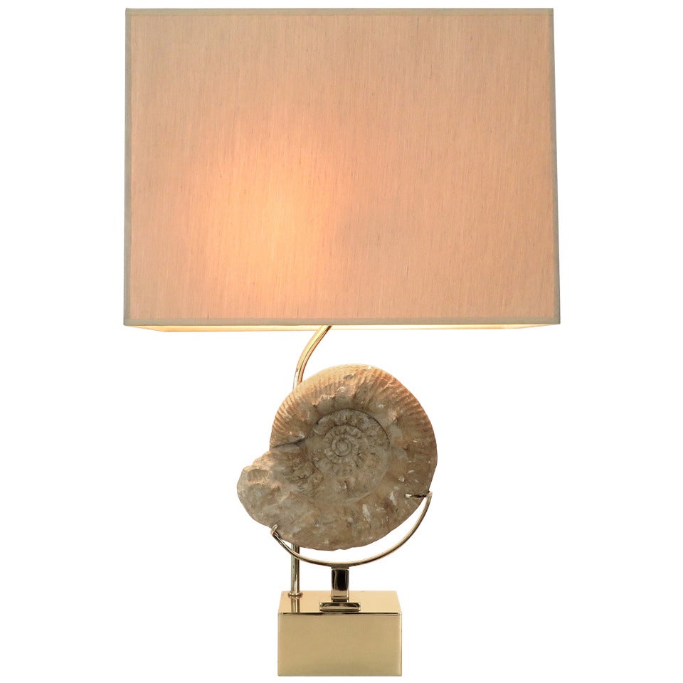 A Brass Belgian Lamp with Mounted Ammonite Specimen at 1stDibs