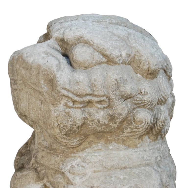 Early 19th Century Carved Limestone Fu Dog at 1stDibs