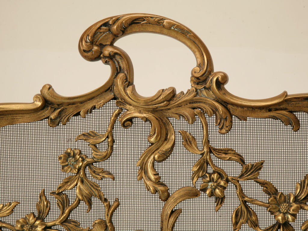 Circa 1860 French Rococo Bronze Fireplace Screen at 1stDibs