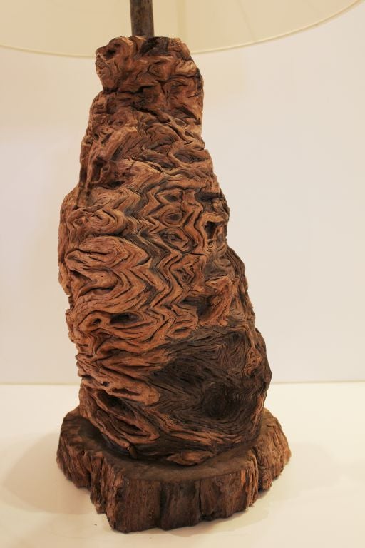 Burl Wood Table Lamp at 1stDibs