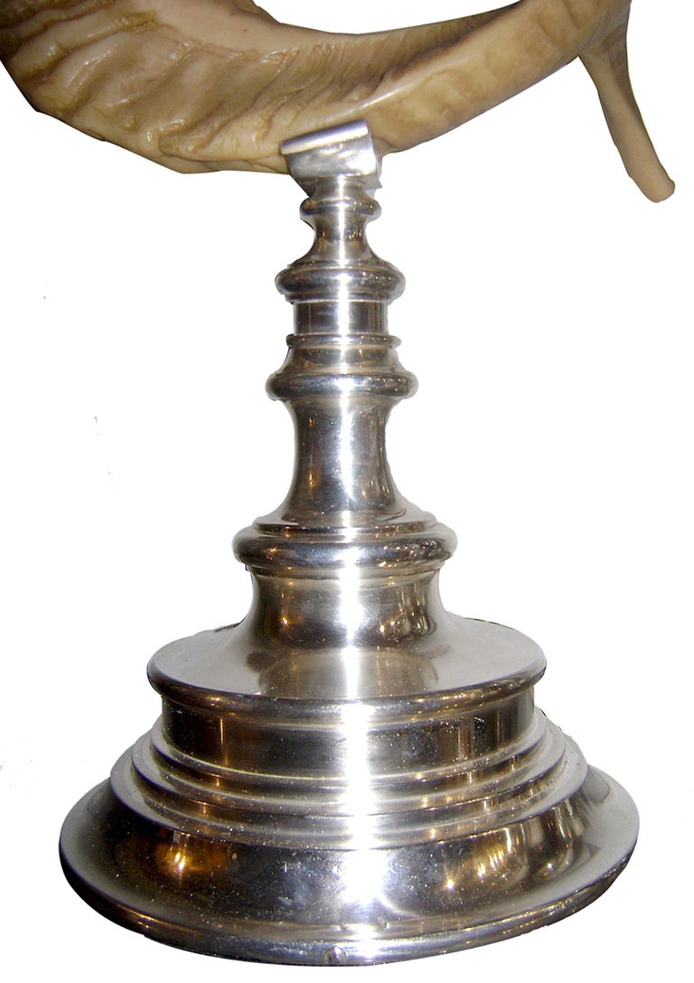 Silver Plated Horn Lamps For Sale at 1stDibs