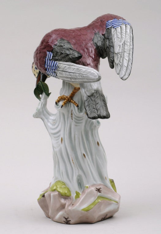 Dresden Porcelain Bird For Sale at 1stDibs