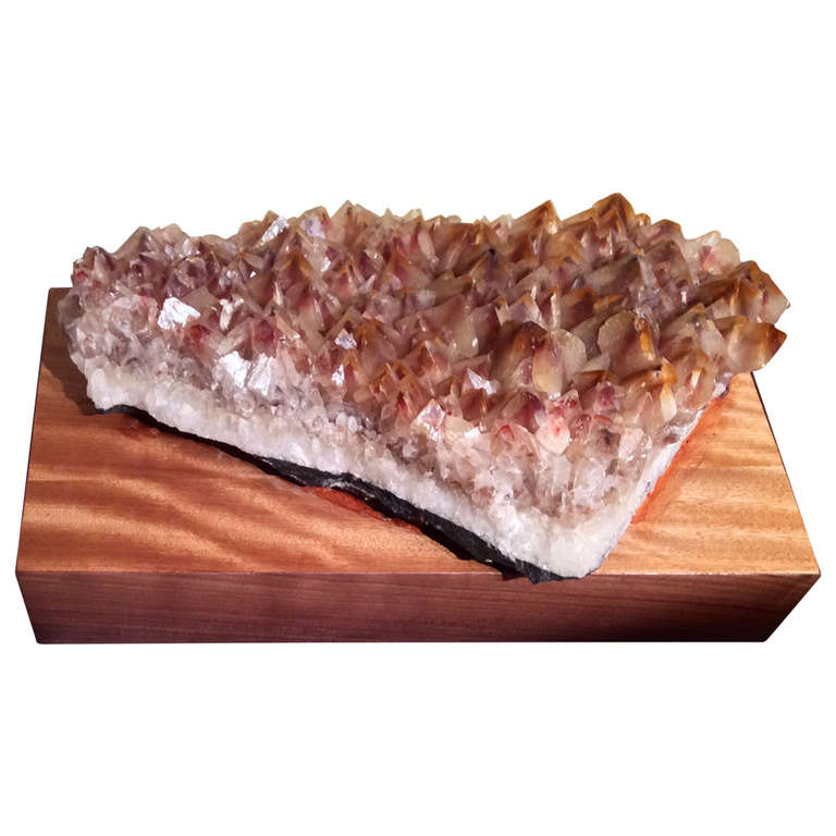 Rare Large Specimen of Mariposa Butterfly, Calcite Mounted at 1stDibs ...