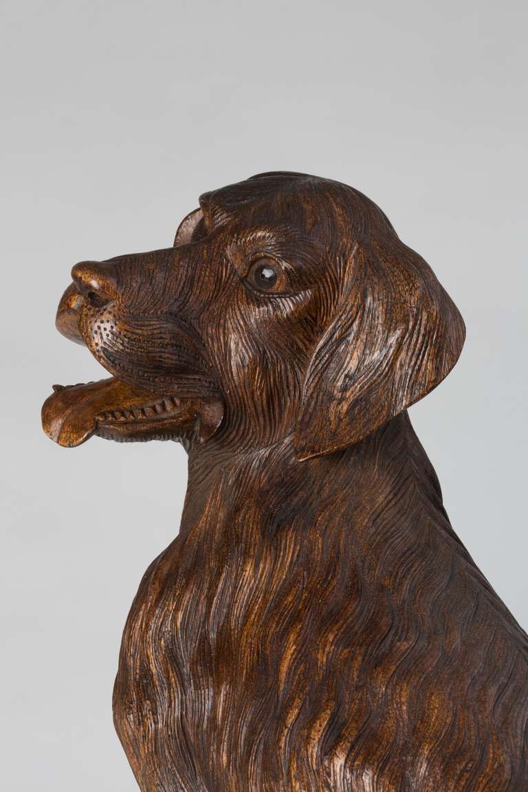 Large Black Forest Wood Carving of a Seated Dog at 1stDibs